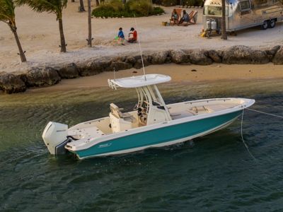 Boston whaler dauntless store